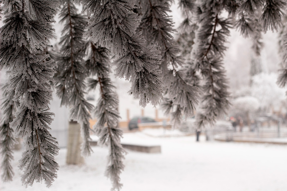 Comunidad Preparada Para Inclemencias Drásticas del Tiempo